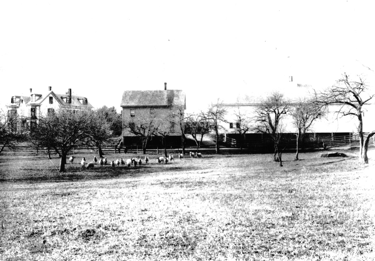 387 Linebrook Road, David Tulley Perley Farm (1880) – Historic Ipswich