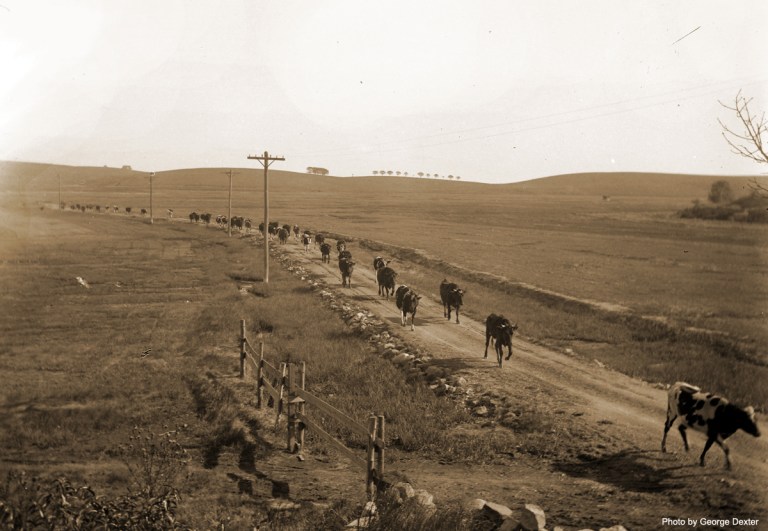 History of Little Neck – Historic Ipswich