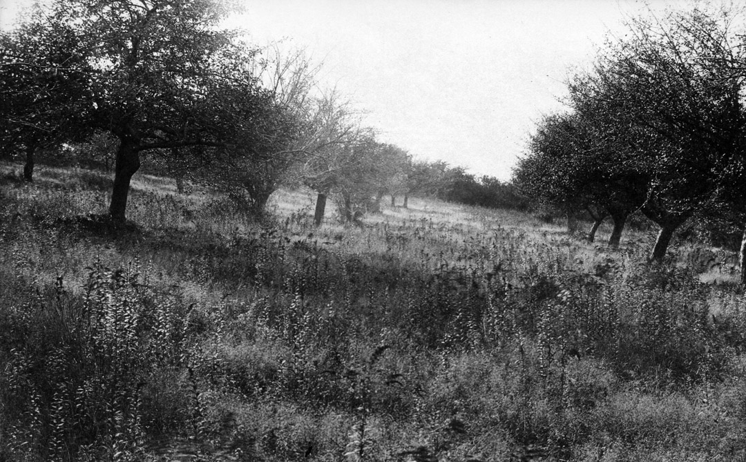 Sullivan’s Corner: The Land – Historic Ipswich