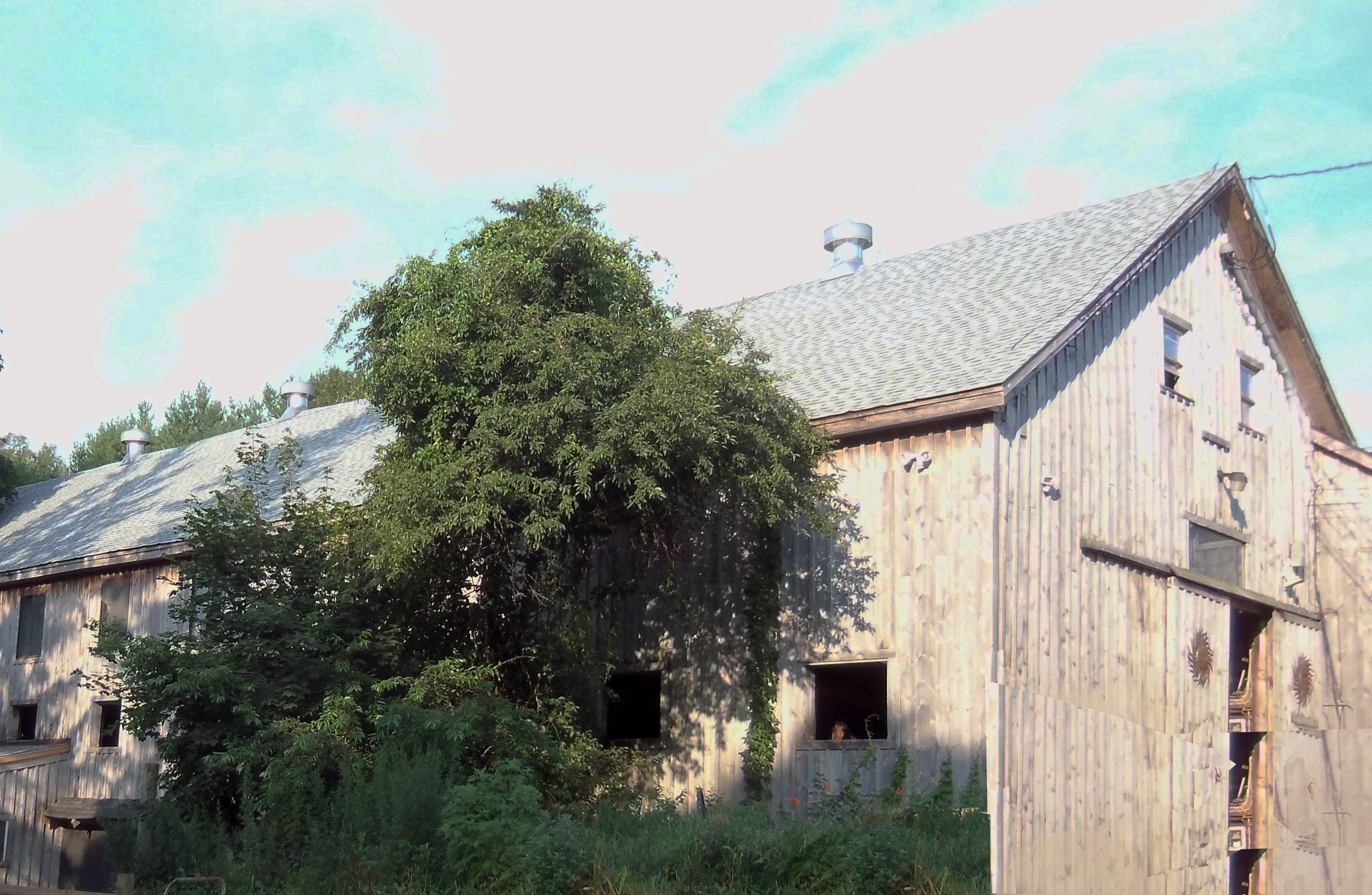 387 Linebrook Road, David Tulley Perley Farm (1880) – Historic Ipswich