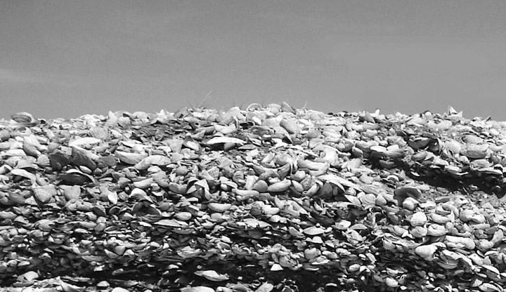 Discovery of Native American Shell Heap on Treadwell’s Island, 1882 ...