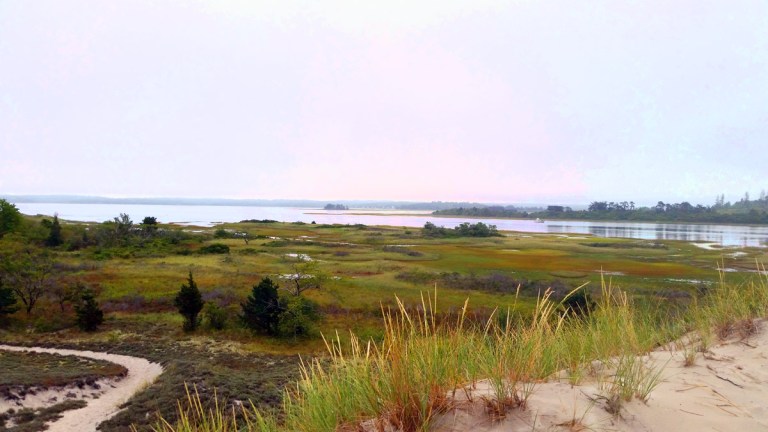 Winter Walks in the Dunes at Castle Neck – Historic Ipswich