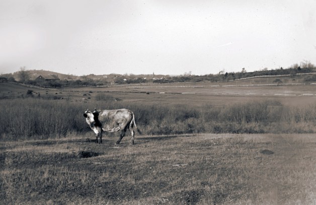 Photographs by Edward Darling – Historic Ipswich